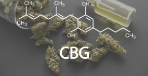 What Is CBG? Understanding Cannabigerol and Its Benefits